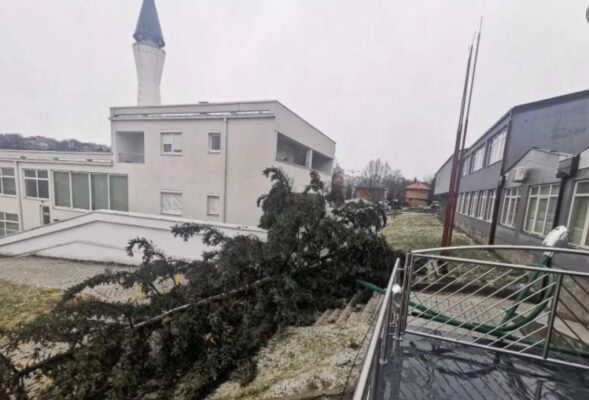 U Kaknju kod Čaršijske džamije i Doma kulture vjetar oborio stablo bora ...